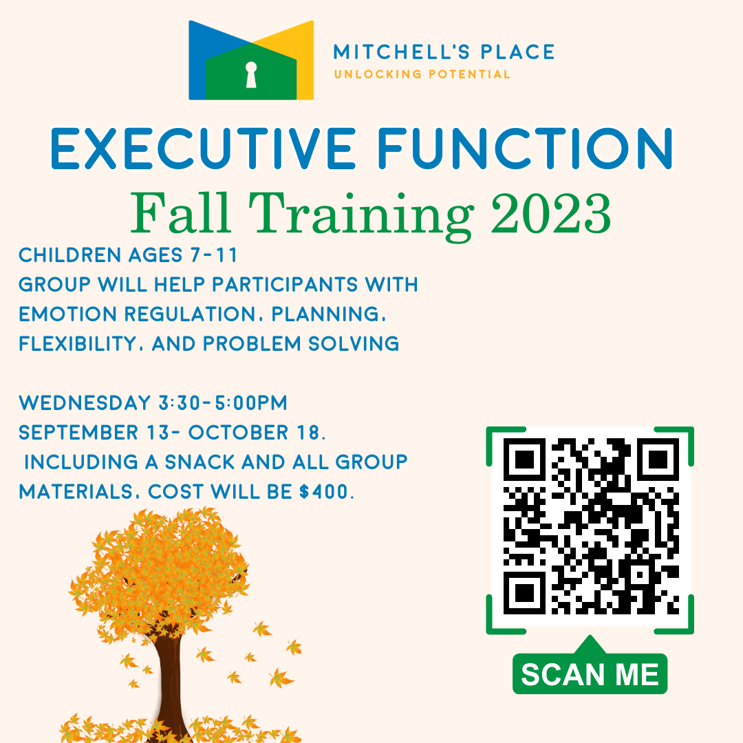 Executive Function Fall 2023 Training - Mitchell's Place